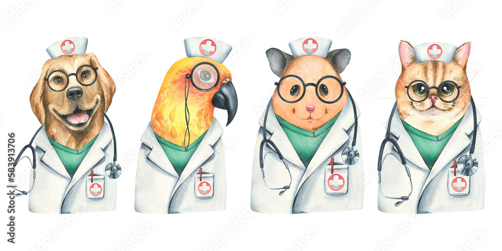 Doctor animals, cat, dog, hamster, parrot in medical clothes ...