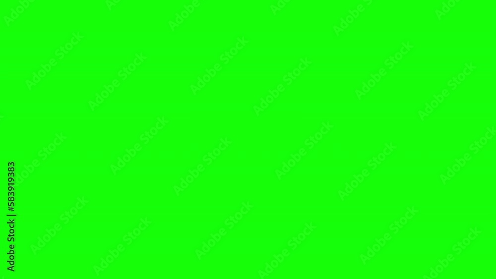 Various simple curve lines appearance animation on chroma key ...