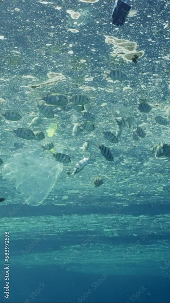Vertical video, Shoal of tropical fish eats on surface of polluted ...