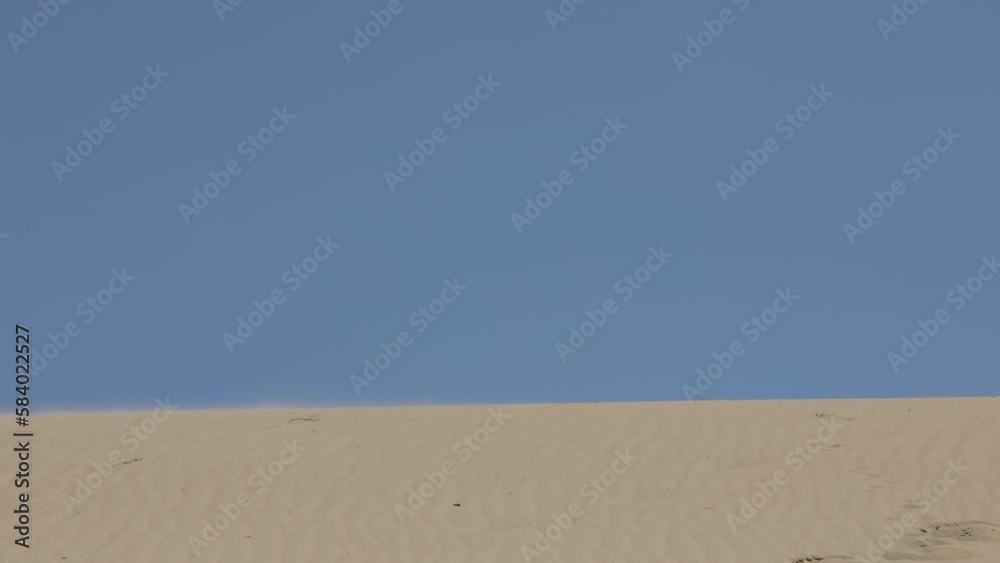 Vidéo Stock Dune in Europe's largest desert, Oleshki Sands, wind blows ...