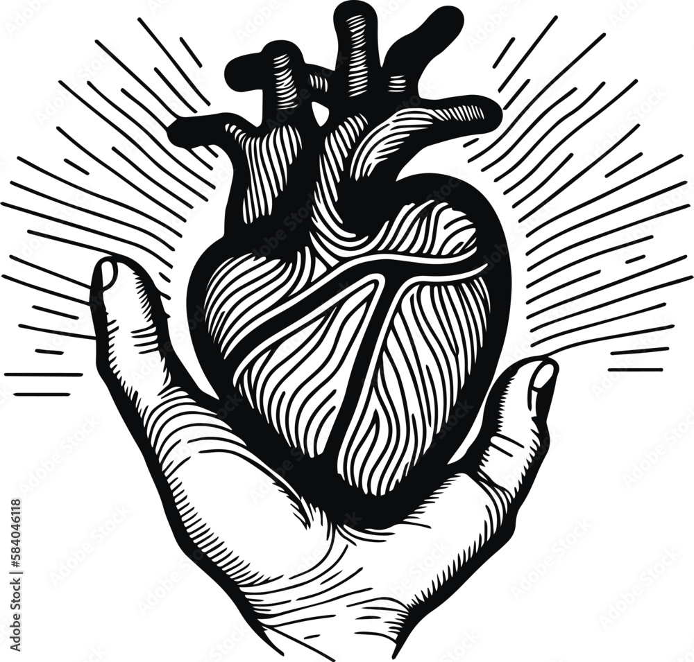 Human heart in hands vector illustration Stock Vector | Adobe Stock