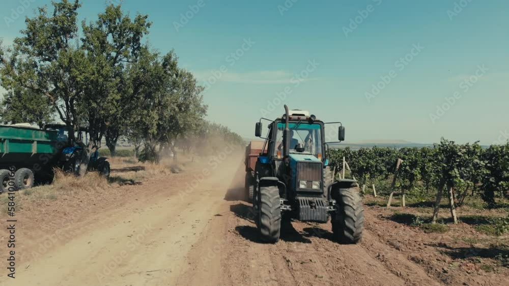 Tractor transporting the harvested berries from the countryside ...