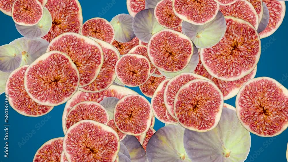 Abstract explosion with various Figs flying in different directions on ...