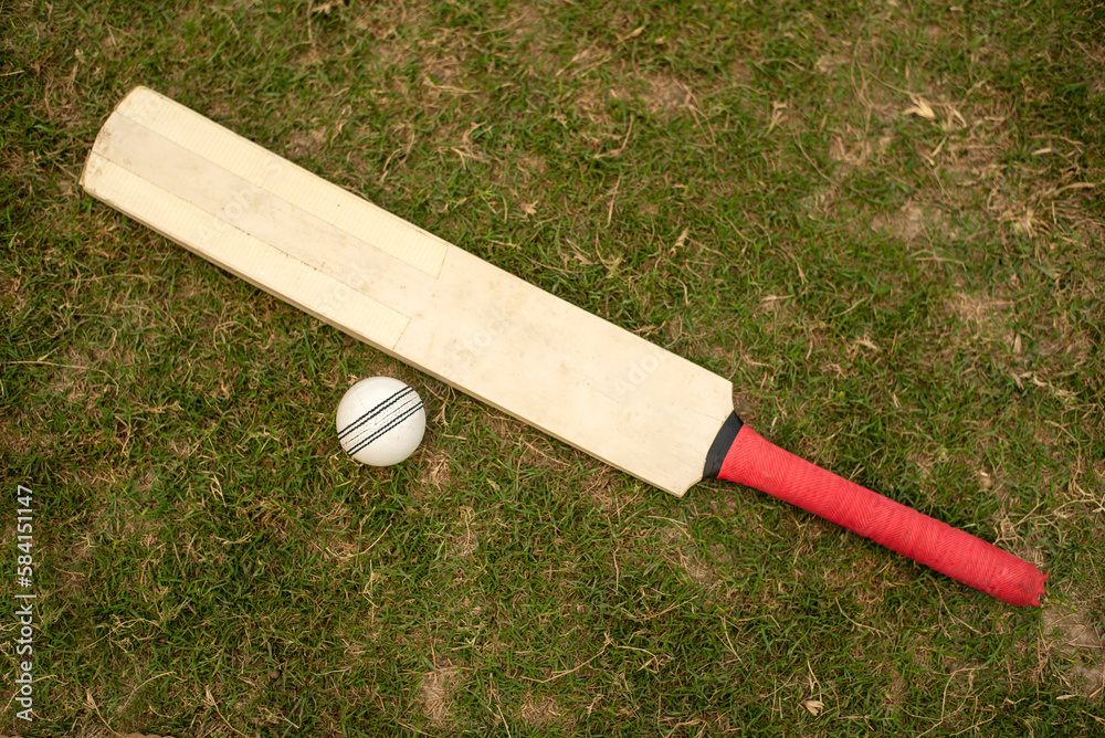 Cricket bat and ball on playing grass field pitch Stock Photo | Adobe Stock