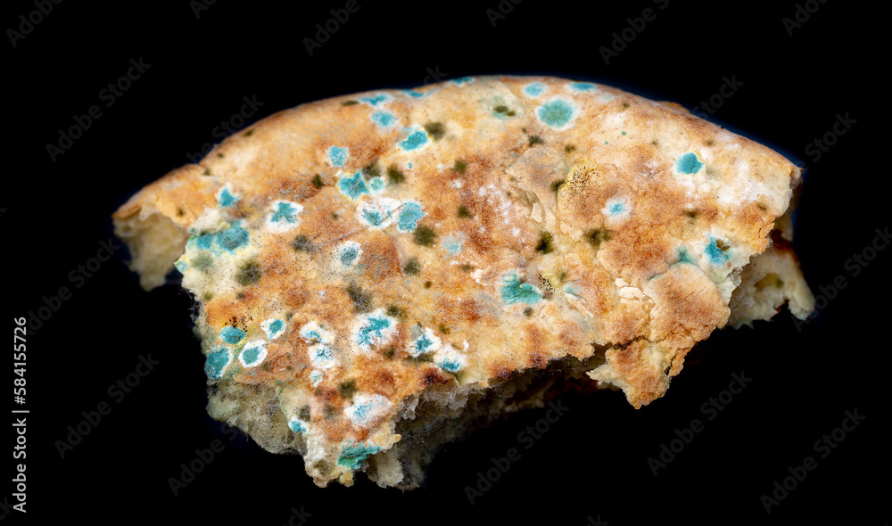 Mold on bread close-up macro. Mold on food. Fluffy mold spores as a ...