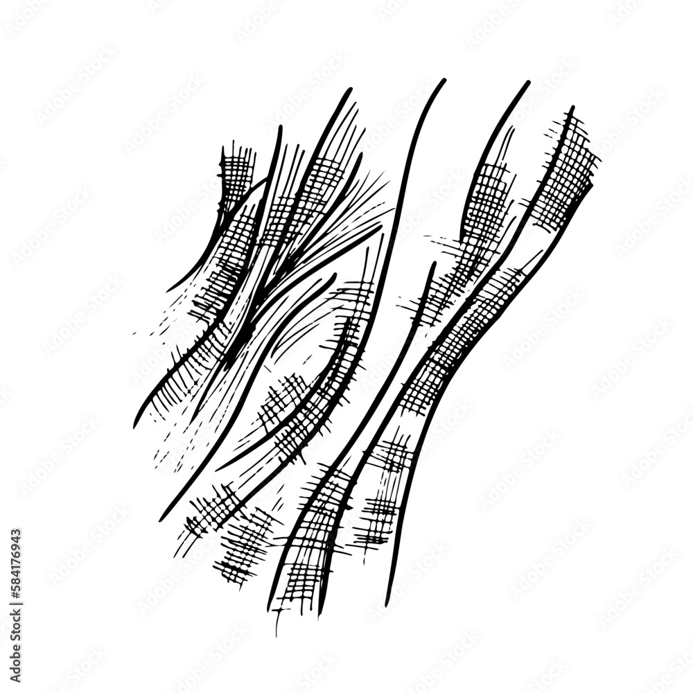 fine mesh fabric with pleats in engraving style - hand drawn doodle ...