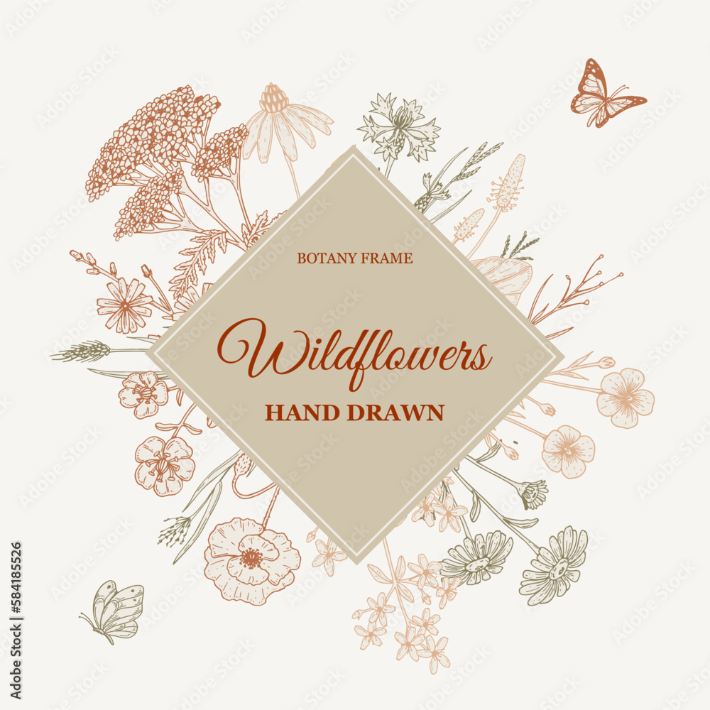 Meadow flowers frame. Hand drawn field wildflowers border. Vector ...