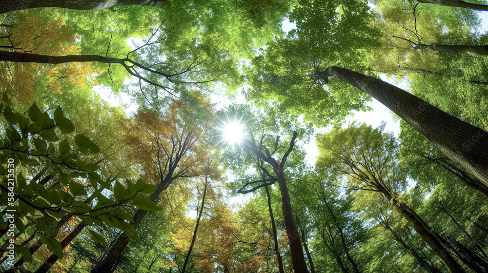 Psithurism, the rustling sound of leaves in the wind. Gorgeous ...