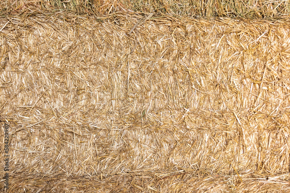 Golden Stack of Straw on Farm - Rustic Background and Texture for ...