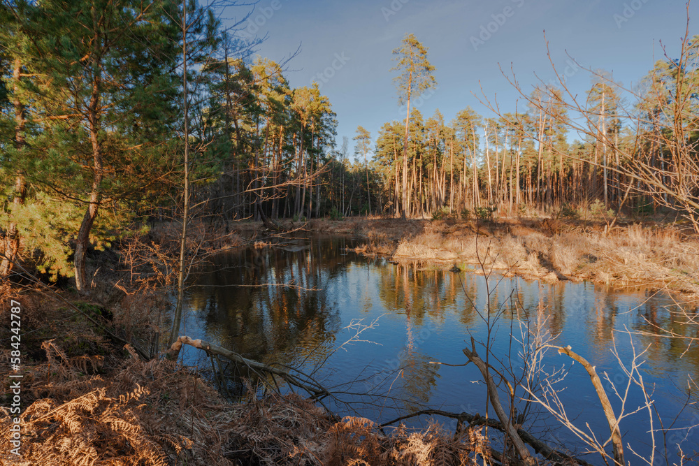 Mała, nieuregulowana rzeka płynąca przez las. Jest wczesna wiosna, czas ...