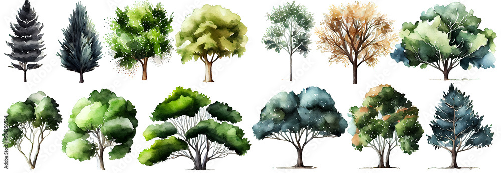 Watercolor trees collection. Set of hand drawn trees. Forest tree pack ...