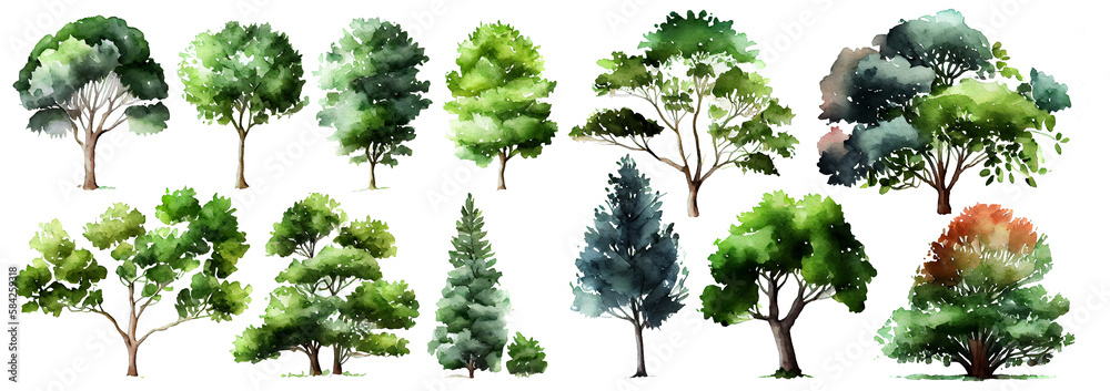 Watercolor trees collection. Set of hand drawn trees. Forest tree pack ...
