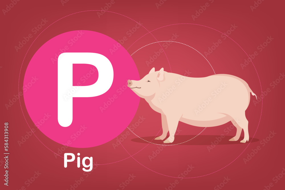 Flash card: the education tools - Alphabet A-Z card P-Pig, a large pink ...