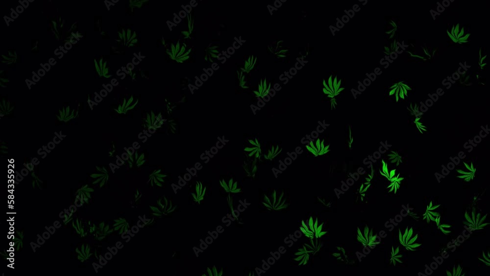 Weed Leaves falling down trippy high culture 420 celebration cannabis ...