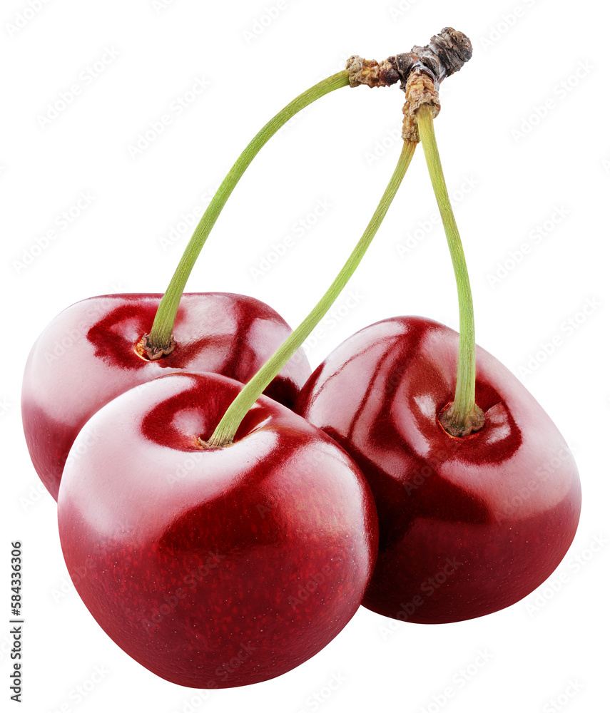 Three cherry with stem isolated on transparent background. Full Depth ...
