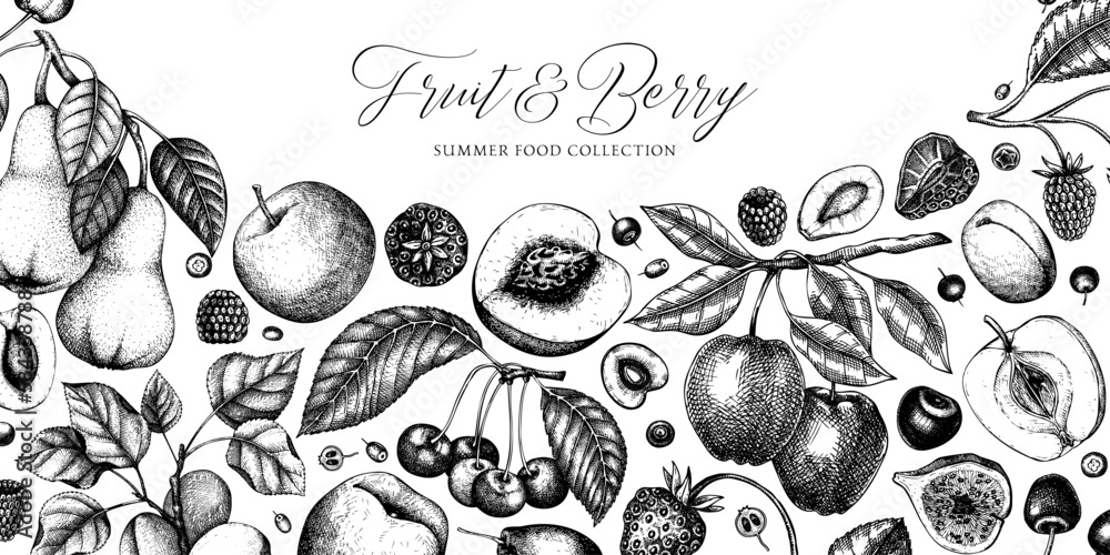 Cherry Fruit Tree Drawing