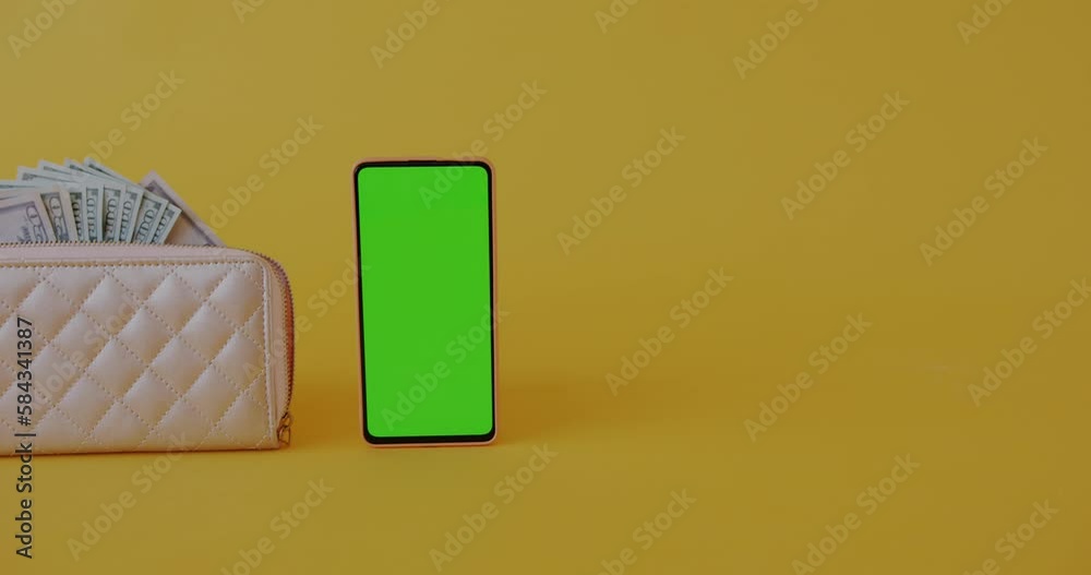 Vidéo Stock Green screen chroma key smartphone and purse full of cash ...