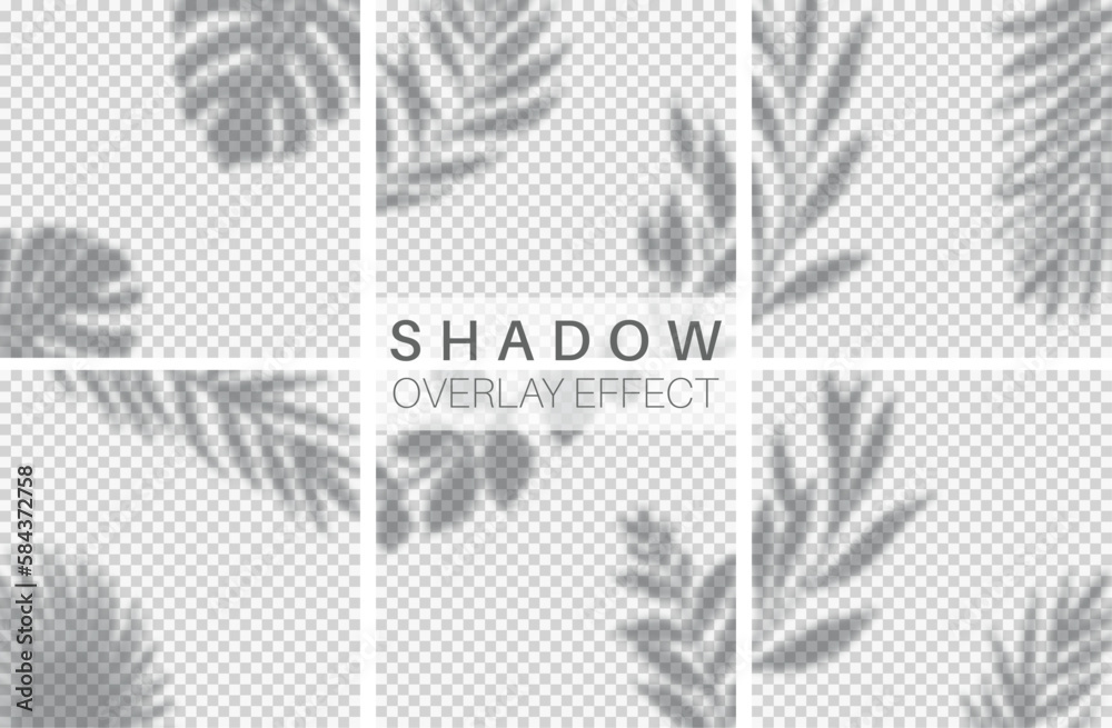 Overlay leaves and plant branches shadows. Creative overlay effect for ...