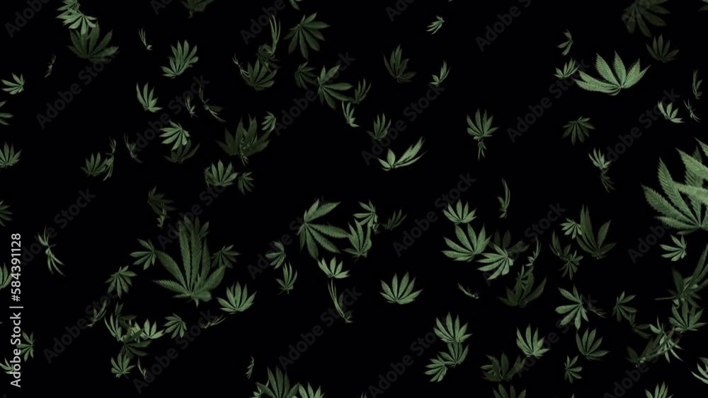 Stoner Day animation weed leaf 3d vj loop background trippy cannabis ...