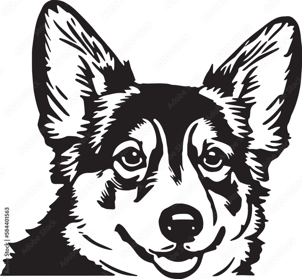 Corgi dog face isolated on a white background, SVG, Vector ...