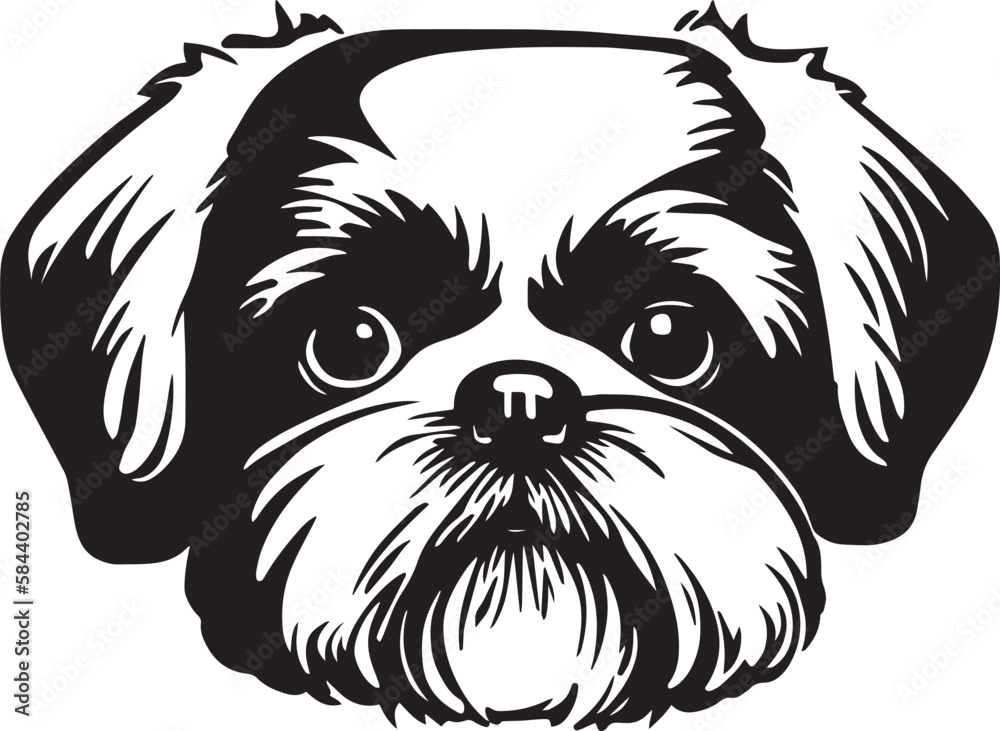 Shih tzu dog face isolated on a white background, SVG, Vector ...