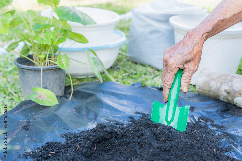 Preparation of soil mixture from fertile compost, humus and vermiculite ...