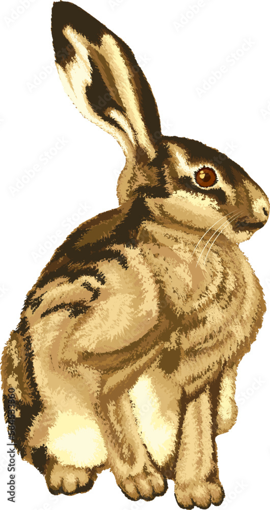 Vector illustration of sitting hare. Hare vector graphic on transparent ...