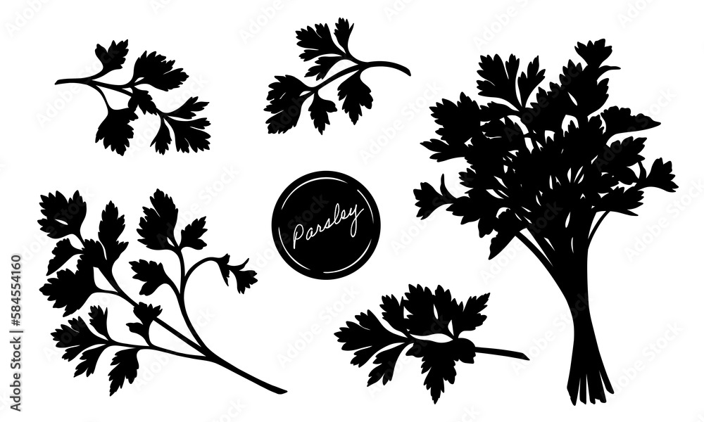 Set of parsley silhouette vector illustration Stock Vector | Adobe Stock
