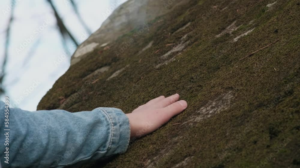 Selective focus of kid hand touches rock overgrown with green moss in ...