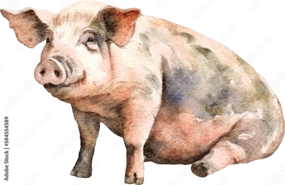 Pig illustration created with Generative AI technology Stock Illustration | Adobe Stock