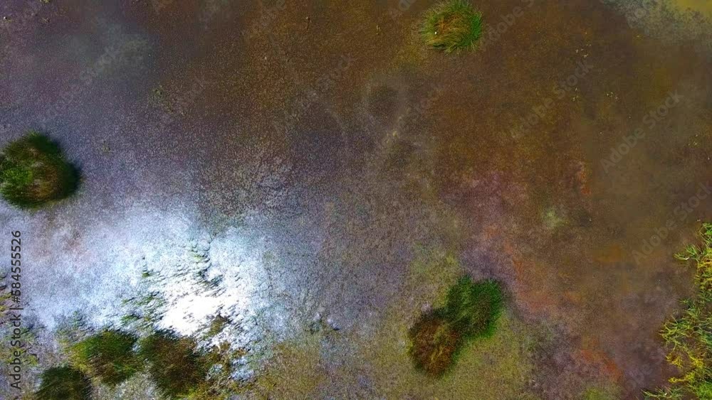 passage of migratory birds in the lake of tonga el kala vídeo de Stock ...
