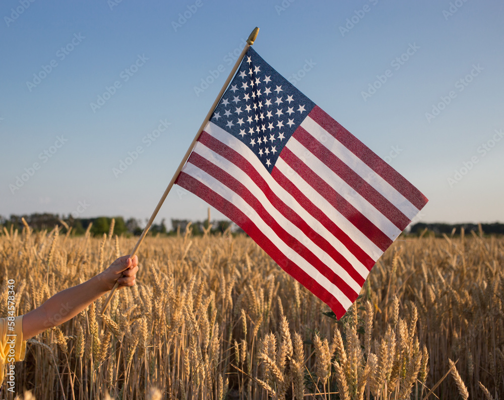 American flag in a wheat field illuminated by sunlight. agricultural ...