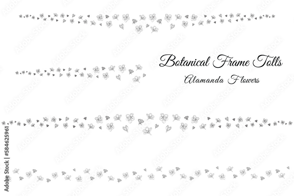 alamanda line flower petals flowers. frame tolls background vector ...