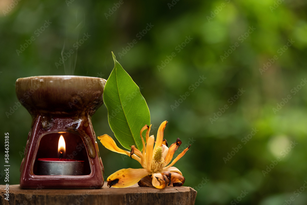 Aromatherapy with magnolia champaca flower and aroma burner on nature ...