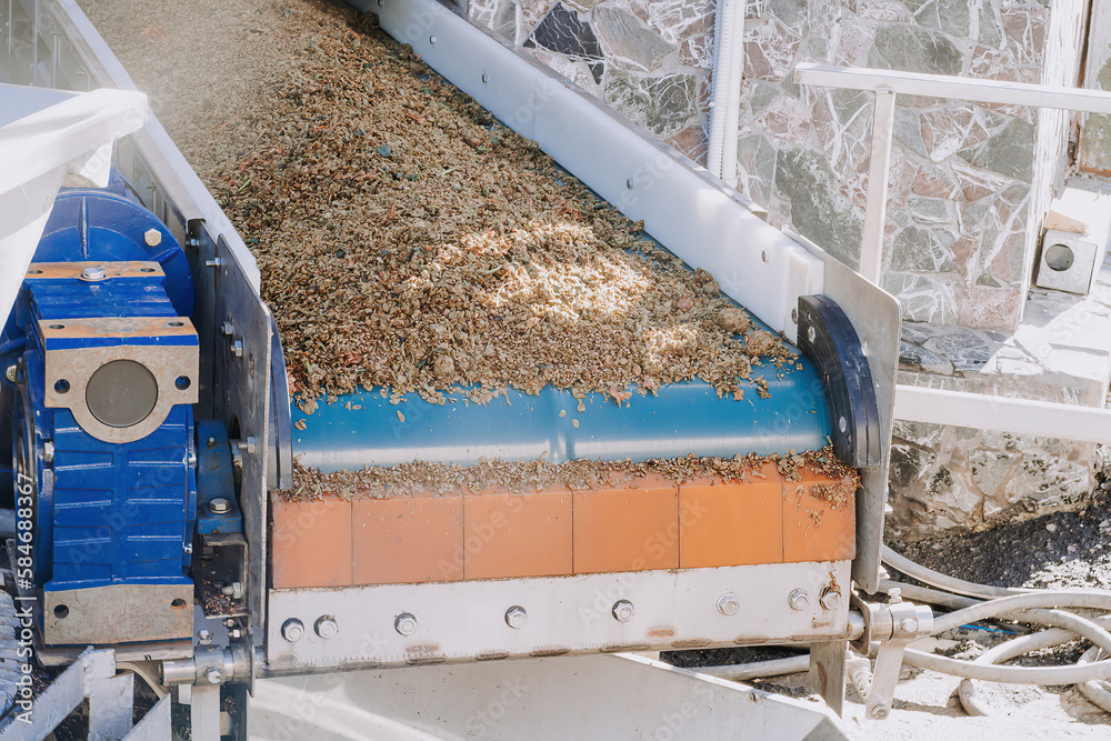 Grape pomace from wine making on conveyor belt at plant territory ...