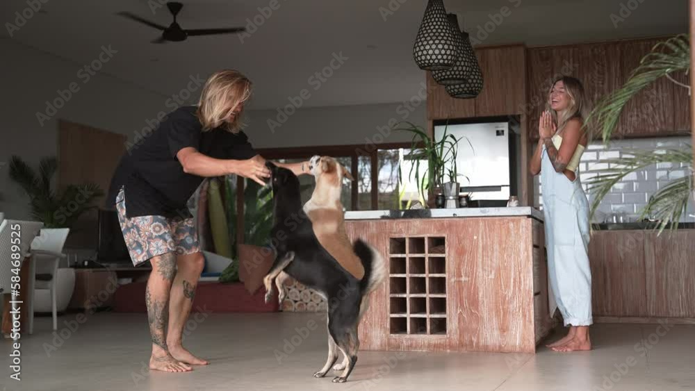 Happy people training cute dog. Person teach pet command. Man play with ...