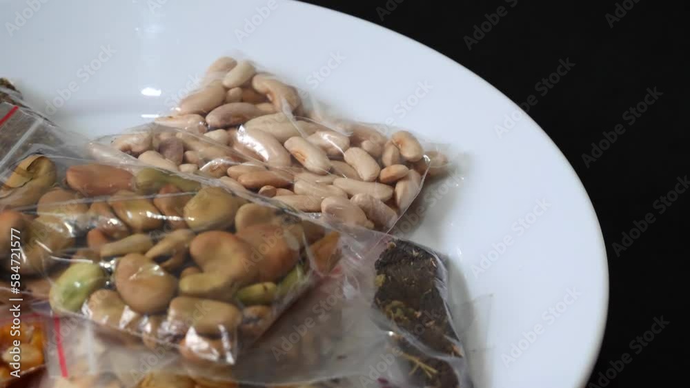 close-up broad bean seeds,to plant in the garden,organic vegetable ...