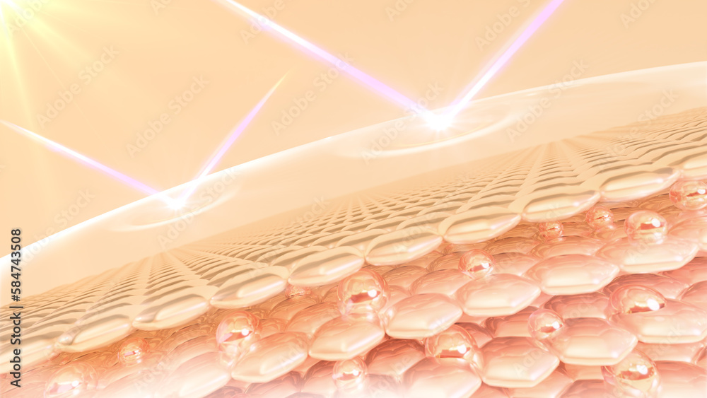 UV-protected 3D rendering of skin cells. Serum is absorbed via the skin ...