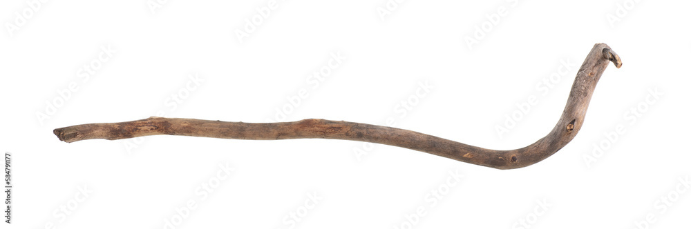 curved wooden stick,ancient shepherd crook isolated on white background ...