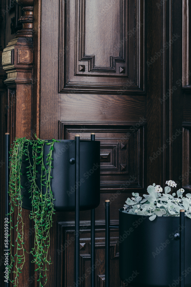 Classical plants Stock Photo | Adobe Stock