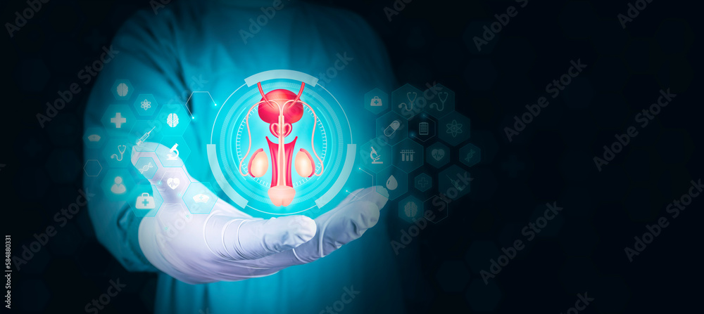 Male reproductive system. Specialized medical care. erectile ...