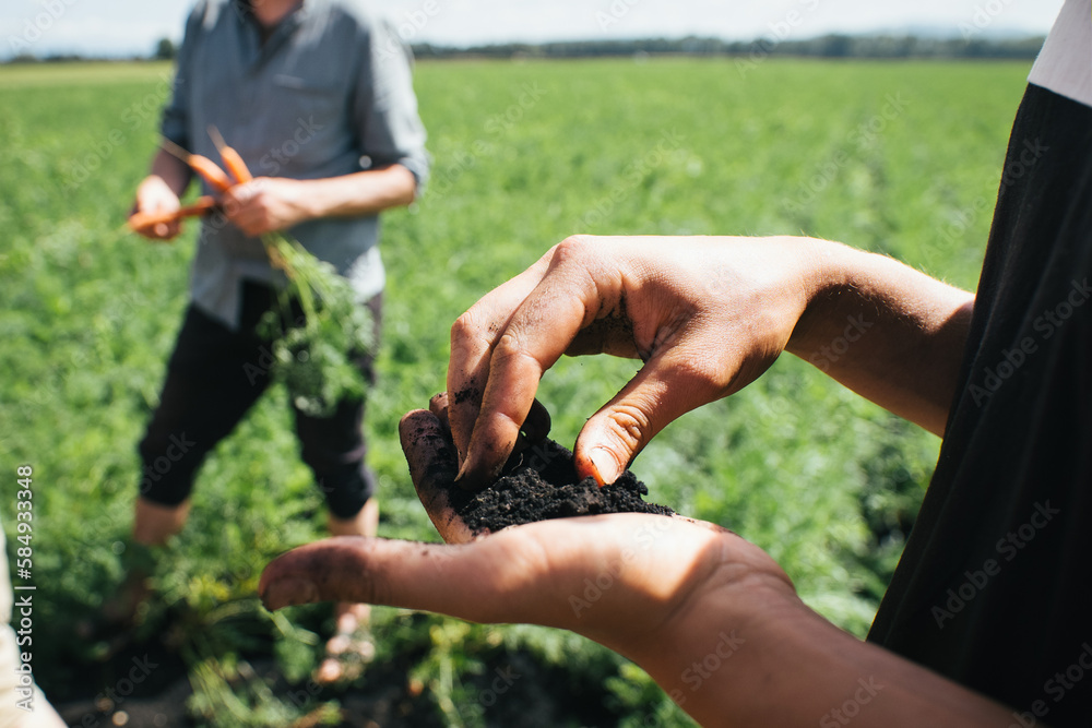 Hand with soil Stock Photo | Adobe Stock