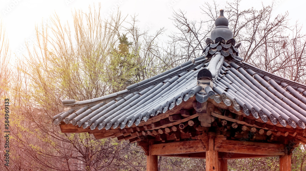 Beautiful rooftop oriental house at traditional korean garden. Scenery ...