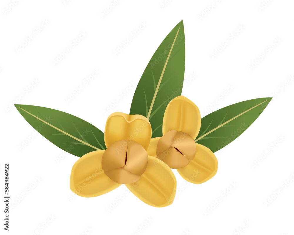 Photo & Art Print Rumdul – The National Flower of the Kingdom of ...