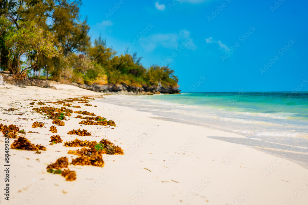 Experience the tranquility and beauty of Zanzibar Beach, where crystal ...