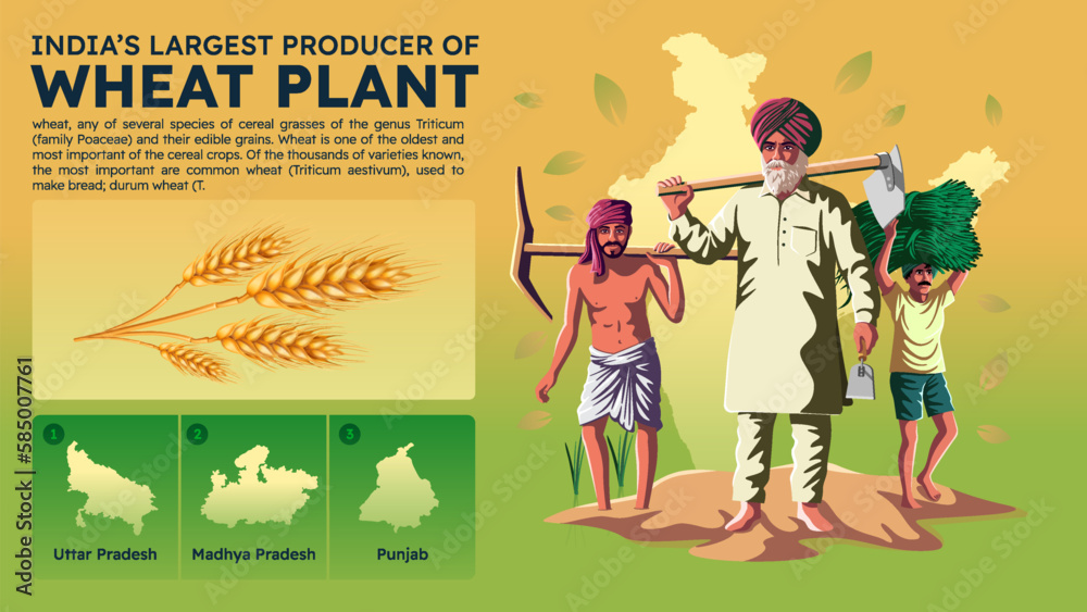 Visualizing India's Largest Wheat Producing States and Their Farmers ...