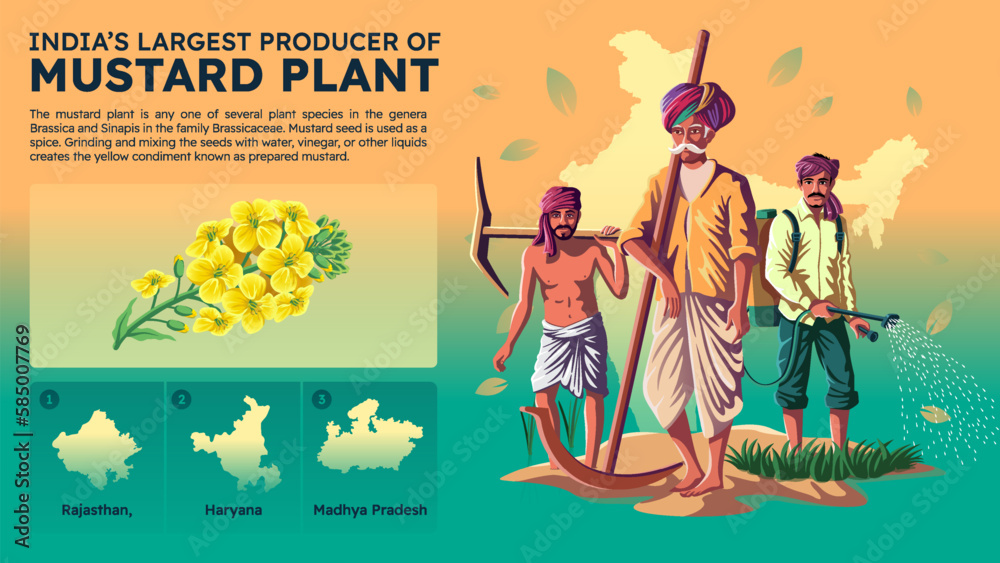 Visualizing India's Largest Mustard Producing States and Their Farmers ...