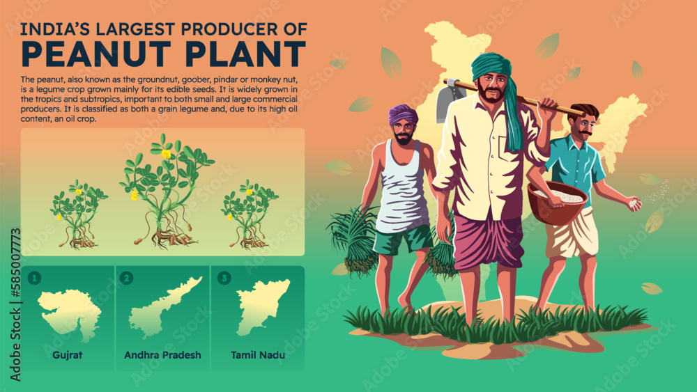 Visualizing India's Largest Peanut Producing States and Their Farmers ...