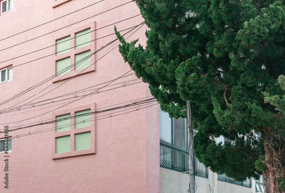 Pink building wall seen behind trees. Stock Photo | Adobe Stock