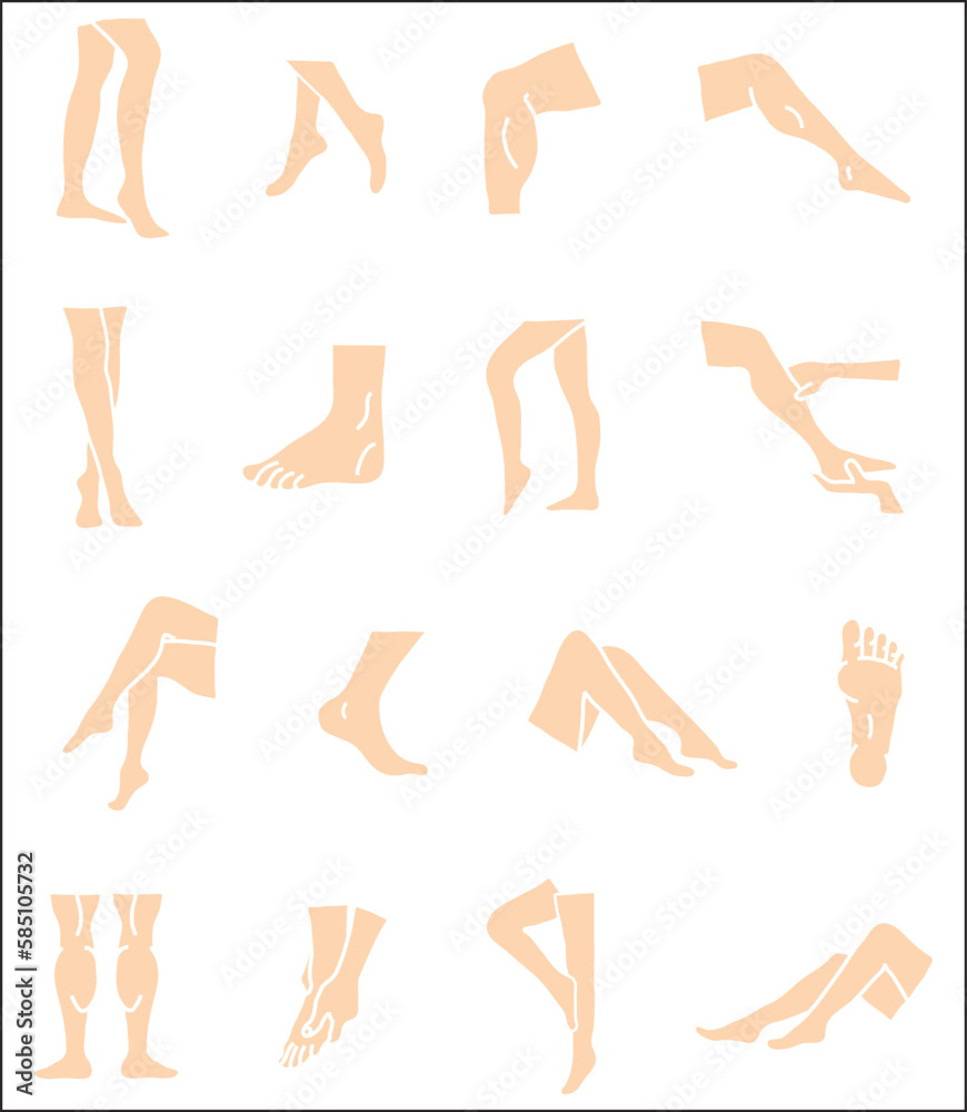 legs collection Stock Vector | Adobe Stock